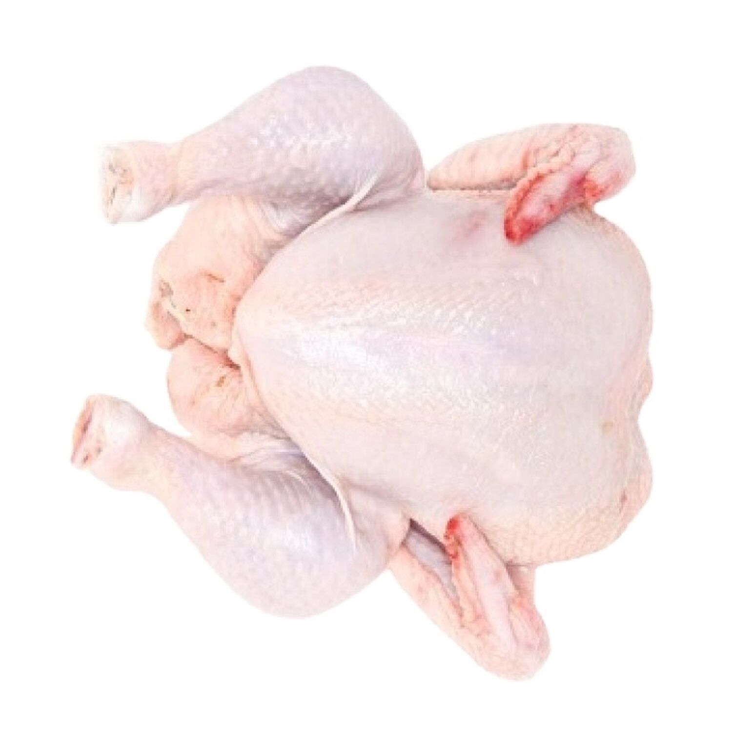 Buy Wholesale United States Halal Cheap Frozen Whole Chicken From ...