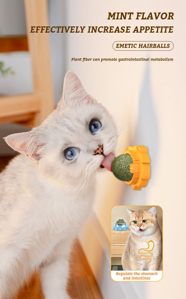 2023 New Design Pet Product Cute Cat Toys For Chew Lick Relax Wall Ball Catnip Toy For Cats Lion ...
