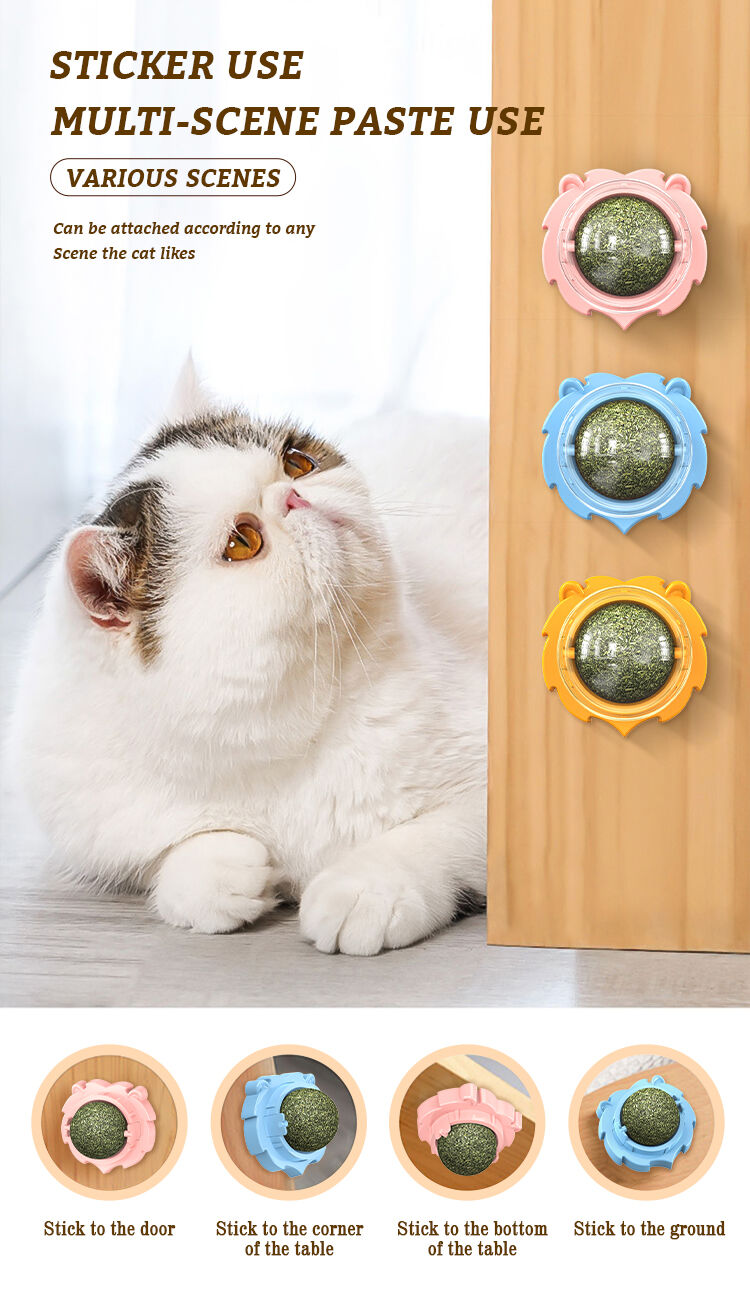 2023 New Design Pet Product Cute Cat Toys For Chew Lick Relax Wall Ball Catnip Toy For Cats Lion ...