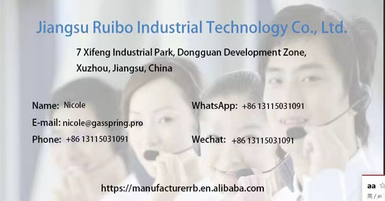 Ruibe Bed Lifting System Motor Electric Linear Actuator Linear Motion ...