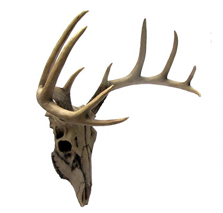 Buy Wholesale United States Wholesale Price Red Deer Antlers Naturally ...