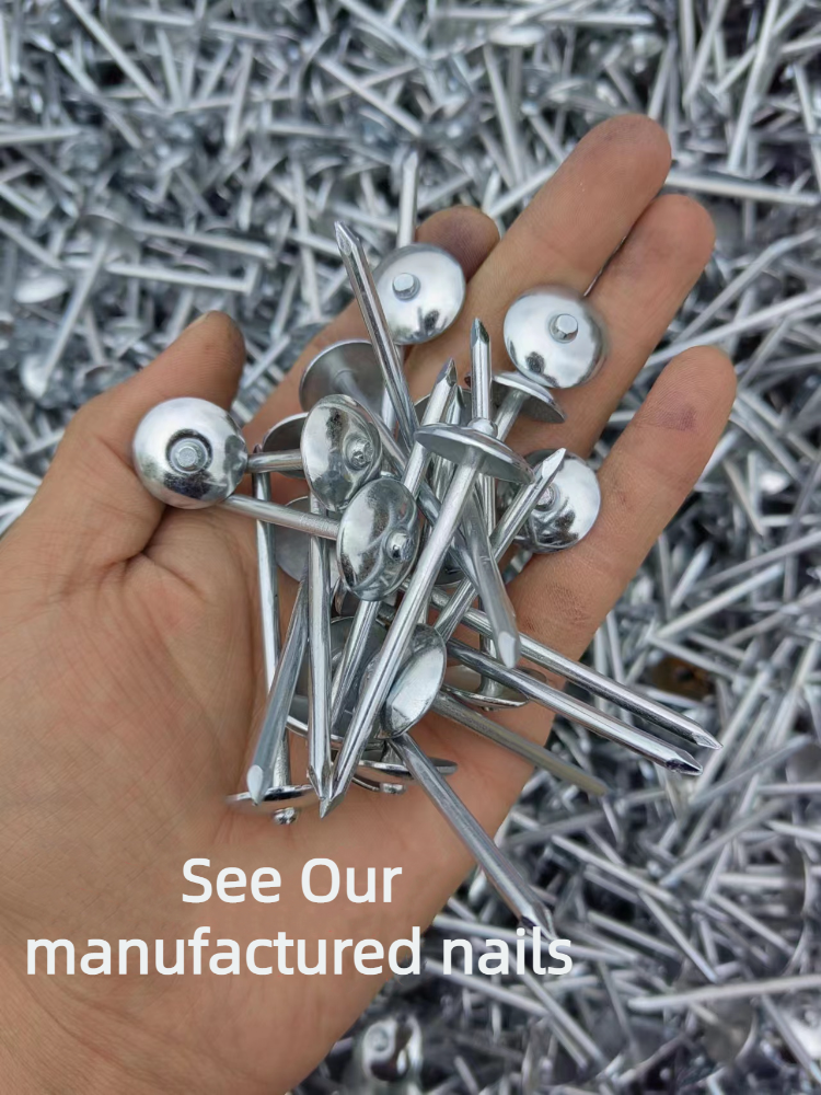 Galvanized Plastic Washer Umbrella Twisted Stalk Screw Roofing Nail ...