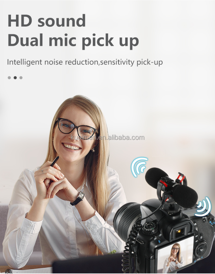 Condenser Smartphone Mic Video Record Teaching With Led Lights Computer ...