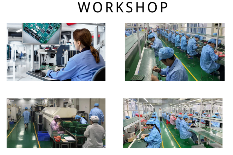 High Precision Electrochemical Co Carbon Monoxide Gas Sensors For ...