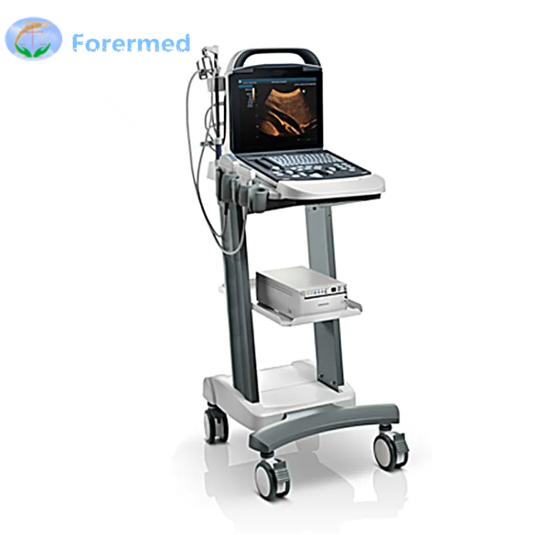 Buy Wholesale China Dp10 Mindray Usg Digital Ultrasonic Diagnostic ...