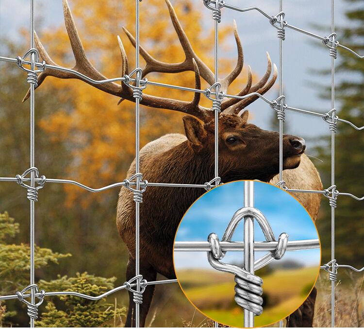 High Strength Galvanized Fixed Knot Wire Mesh Farm Fence For Field Wire ...