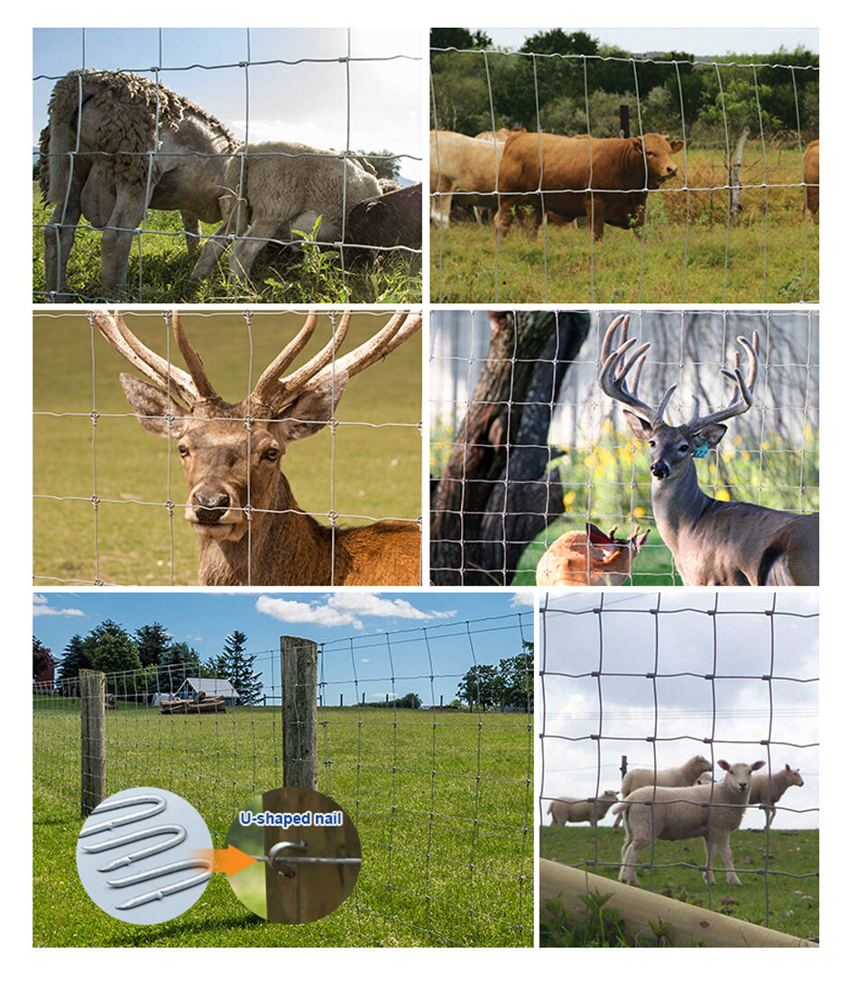 High Strength Galvanized Fixed Knot Wire Mesh Farm Fence For Field Wire ...