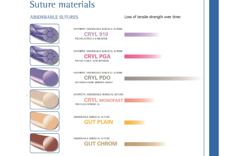 Veterinary Suture With Needle Pet Suture Kit Pga/pdo/silk/nylon/catgut ...