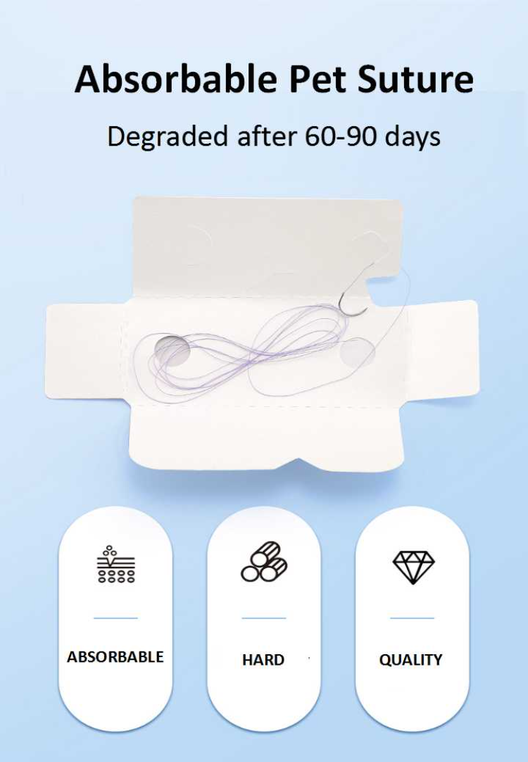 Veterinary Suture With Needle Pet Suture Kit Pga/pdo/silk/nylon/catgut ...