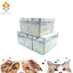 Veterinary Suture With Needle Pet Suture Kit Pga/pdo/silk/nylon/catgut ...