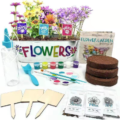 Buy China Wholesale Paint And Plant Kit For Kids - Flower Growing ...