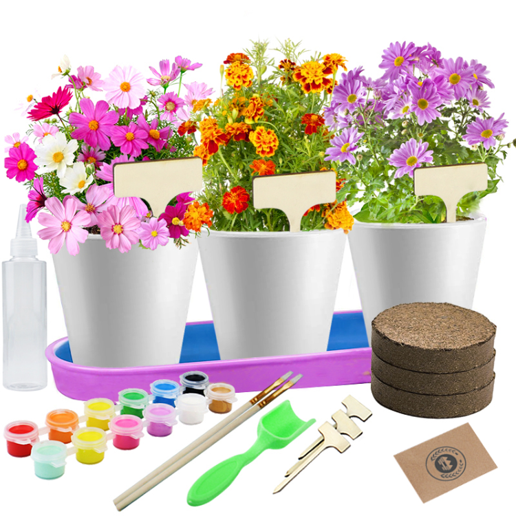 Buy China Wholesale Paint And Plant Kit For Kids - Flower Growing ...