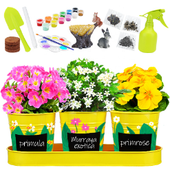 Buy China Wholesale Paint And Plant Kit For Kids - Flower Growing ...