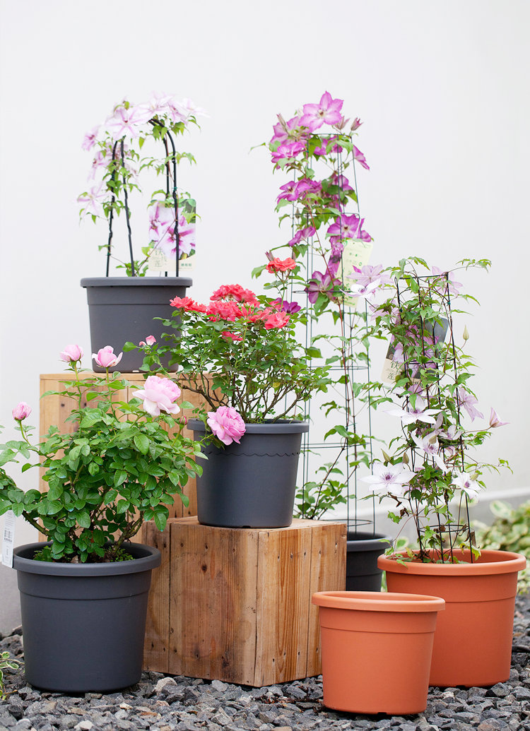 High Quality Plastic Large Pots Clear Huge Garden Buy Online 10"12 ...