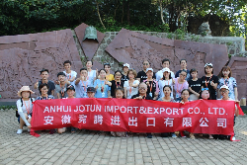 Jt-xtc Portable Hand Held Steel Flat Plate Sheet Polishing Grinding ...