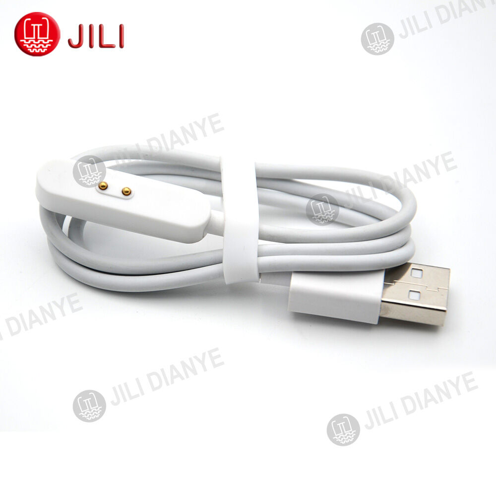 Buy Wholesale China Odm Usb A To Pogo Pin 2pin Magnetic Charging Cable ...