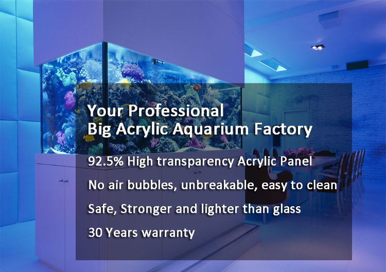Custom Acrylic Round Tank Aquarium Large Clear Cylinder Large Diameter ...