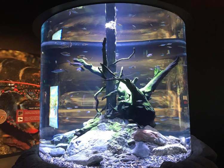 Custom Acrylic Round Tank Aquarium Large Clear Cylinder Large Diameter ...