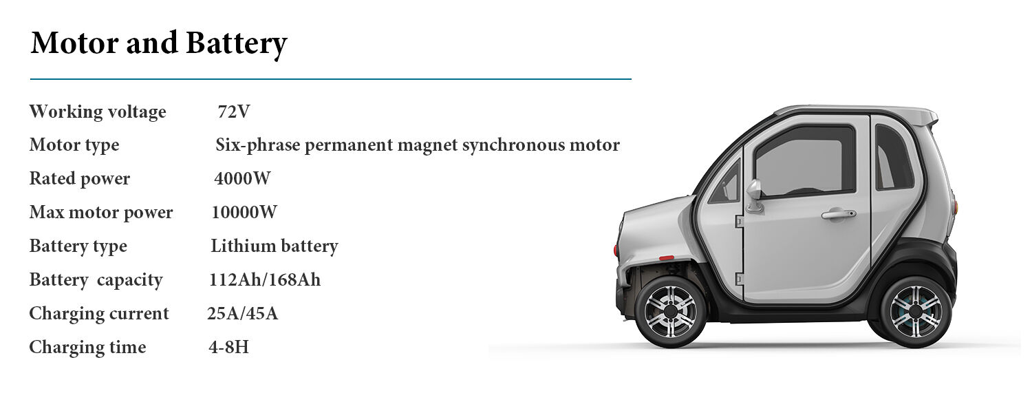 Customized Color Luqi Lithium Battery 4 Wheel Ce Certificate Electric ...