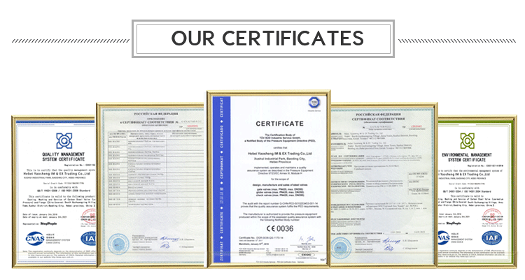 1/4 3/4 Dn20 Dn25 2 Inch Full Certified High Pressure 600 Wog Npt ...