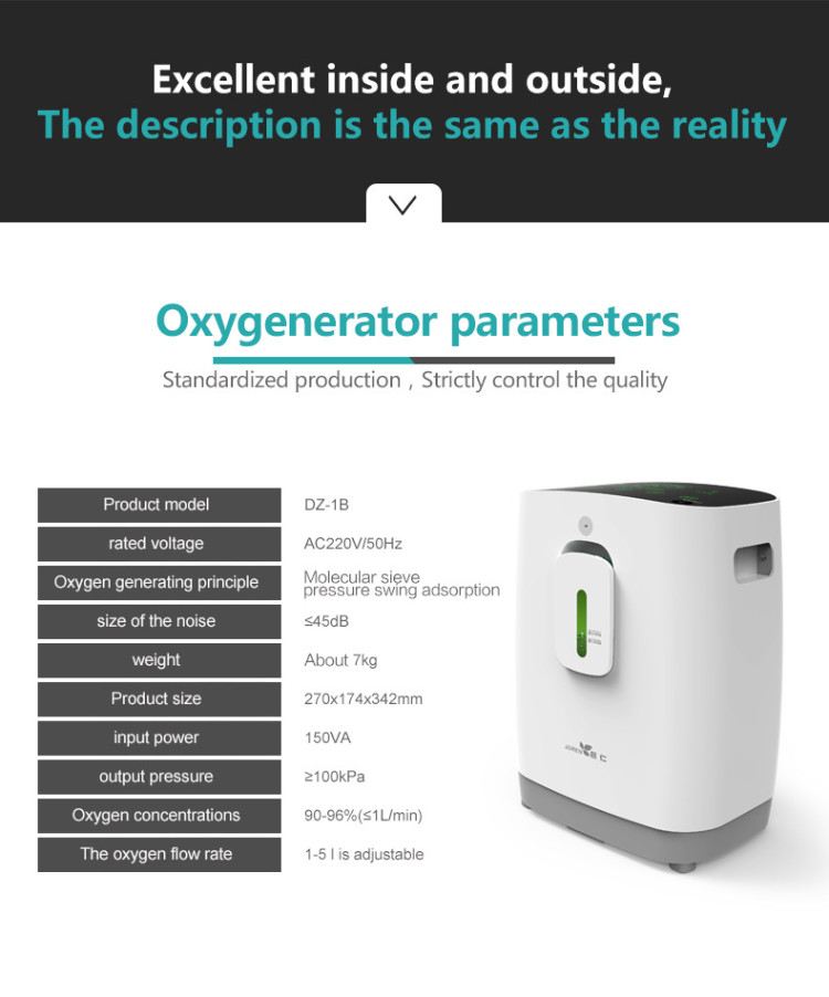 1l 110v Portable Oxygen Concentrator Machine Generator Home ...