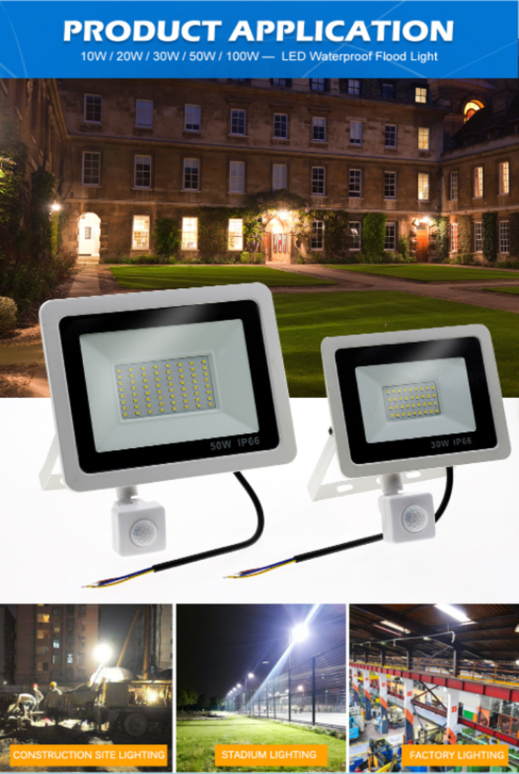 Bulk Buy China Wholesale Led Pir Motion Sensor Flood Light 100w 50w 30w 20w 10w Outdoor Lighting ...