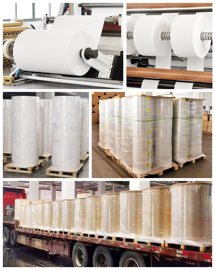 Jinya Security Eggshell Label Egg Shell Custom Blank Anticounterfeit A4 ...