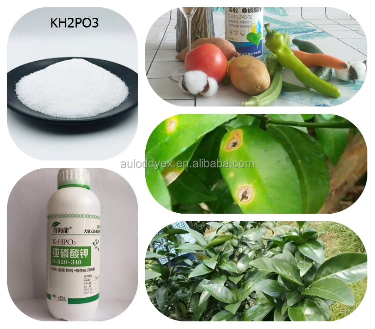 Buy China Wholesale Potassium Phosphite Fertilizer & Potassium ...