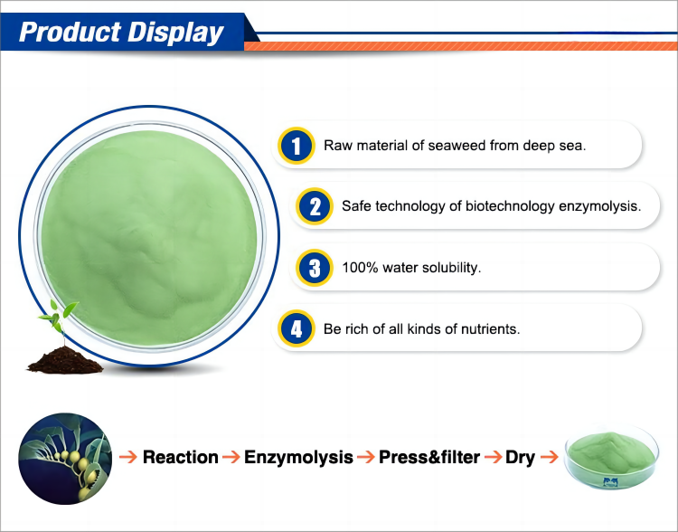 Green Seaweed Bio-enzyme Decomposed Foam Leaf Algae Extract Foliar ...