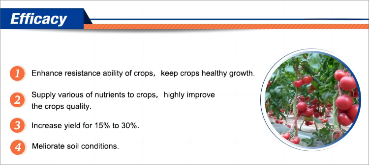 Green Seaweed Bio-enzyme Decomposed Foam Leaf Algae Extract Foliar ...