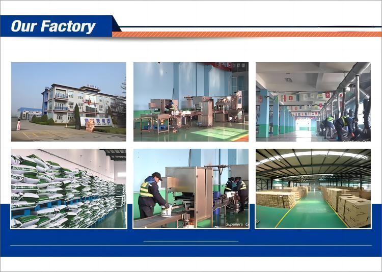 Green Seaweed Bio-enzyme Decomposed Foam Leaf Algae Extract Foliar ...