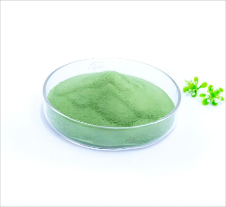Green Seaweed Bio-enzyme Decomposed Foam Leaf Algae Extract Foliar ...