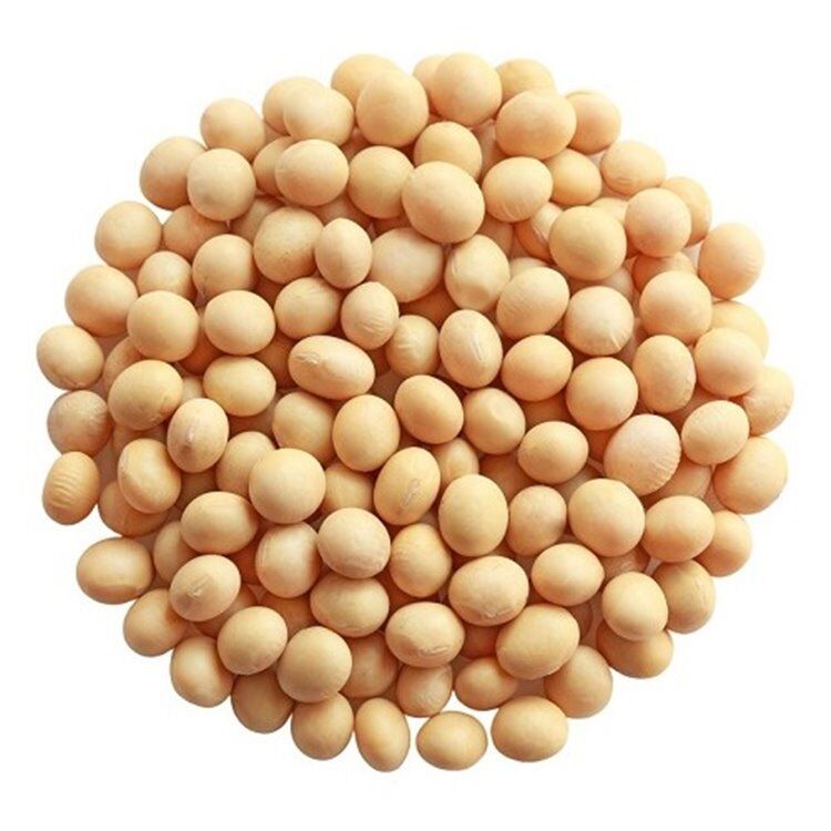 Buy Wholesale United States Soybeans Non-gmo Soya Beans Soybeans Crop ...