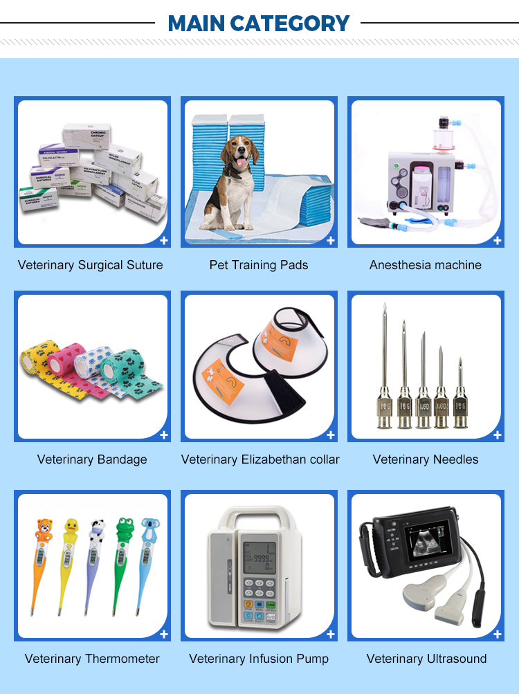 3/8" 19g Veterinary Hypodermic Syringe Needle Animal Needle Veterinary ...