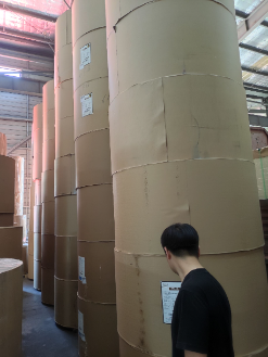 Ipsun Paper Starspark C1s Ivory Board Printing Paper Sbs Paper Board ...