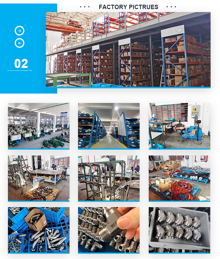 Ss Oem Custom 00210 Interlocking Ferrule Bsp Bspt Jic Orfs Stainless ...