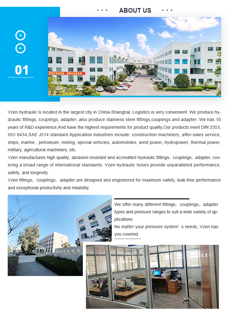 Ss Oem Custom 00210 Interlocking Ferrule Bsp Bspt Jic Orfs Stainless ...