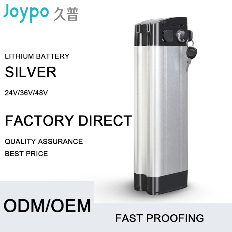 High Capacity E-bike Battery 48v 8ah 10ah 12.8ah Ems Lithium Ion Ebike ...