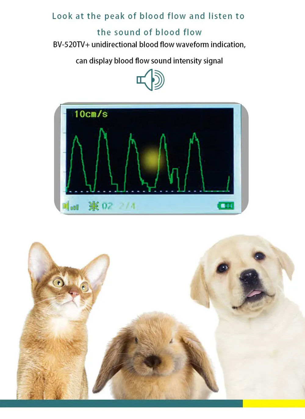 Bulk Buy China Wholesale 9mhz Flat Probe For Ultrassom Veterinary Bv ...