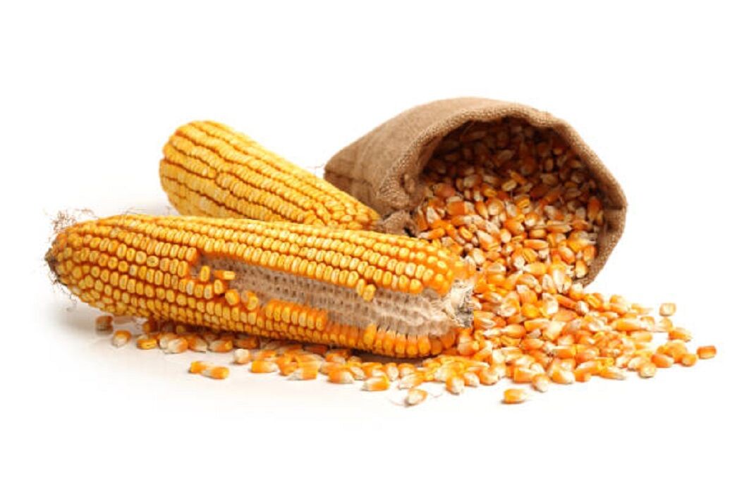 Buy Wholesale France Bulk Grain White Dry Corn Dried Maize Dry White ...