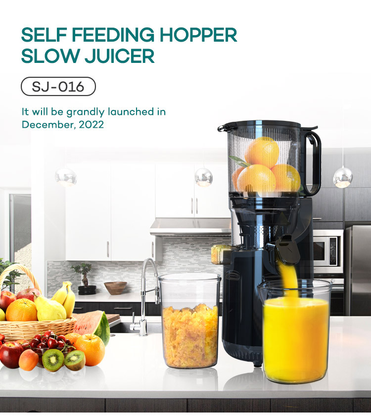 New Arrival Product Fruit Self Feeding Juice Extractor Slow Juicer ...
