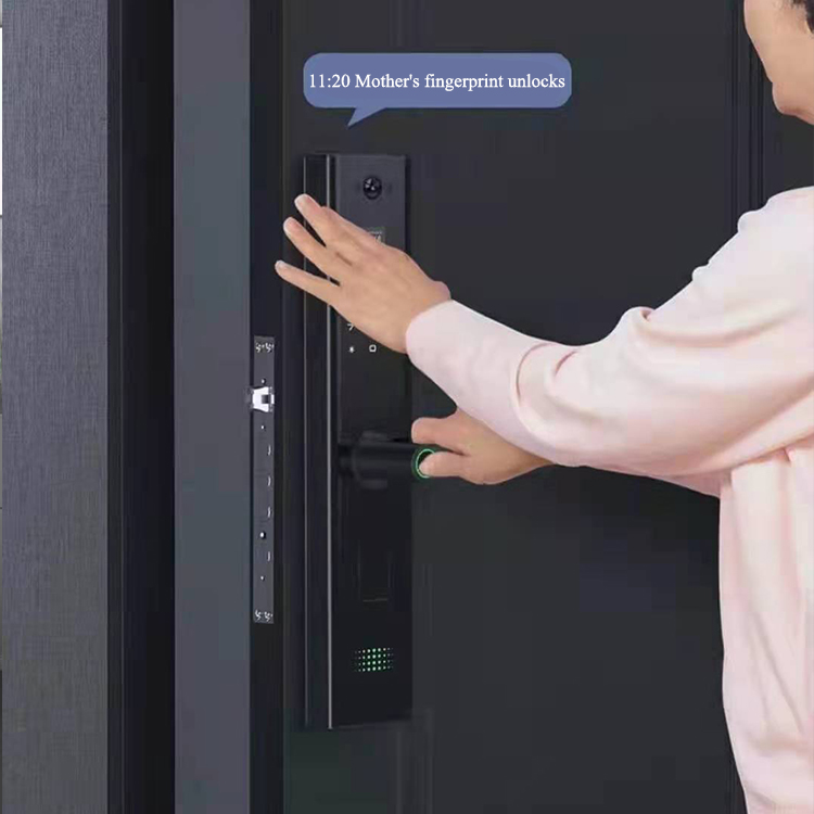 Bilixo Oem Camera Outdoor Gate Smart Lock For Front Door Cerradura ...