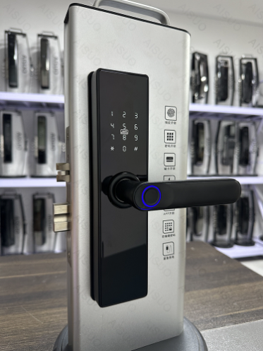 New Arrival Tuya Wifi Fingerprint Biometric Smart Lock Tt Lock ...