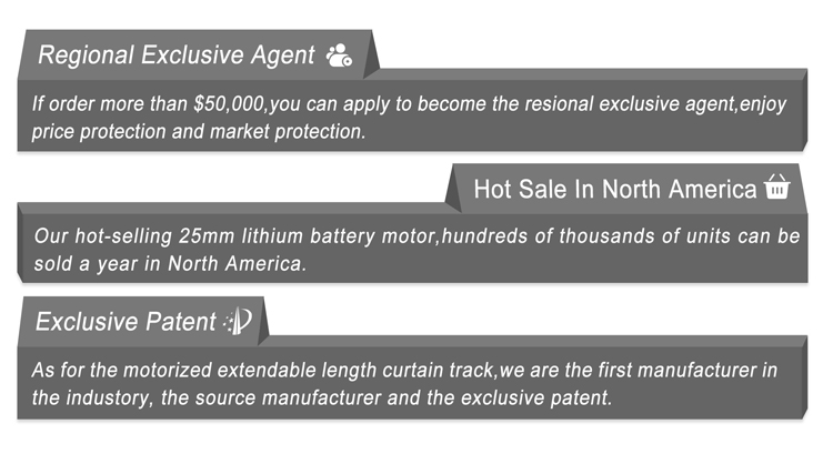 2020 Raex Curtain Motor Electric Smart Home Mp43 Motor $11.01 ...