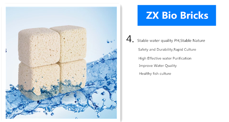 Brightwell Ultra-porous Biological Filter Media Aquatics Bio Cubes For ...