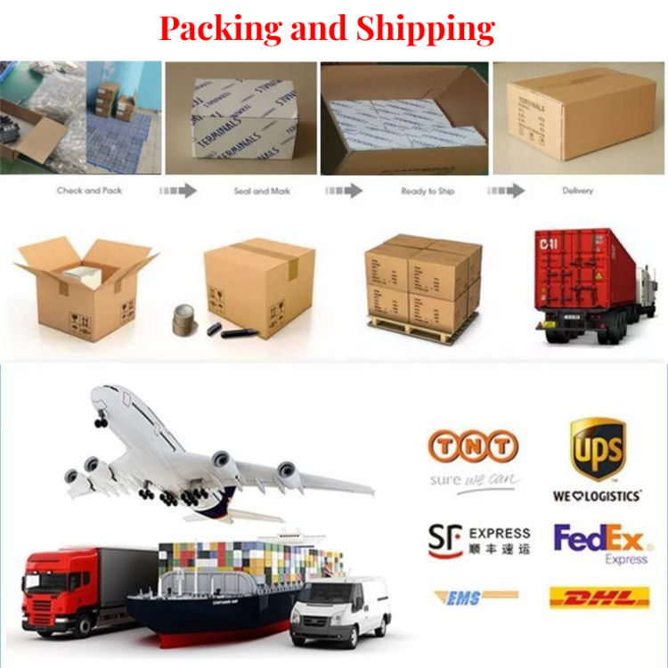 Soldering Terminal M3 Tin Plated Pure Copper Tinned Screw Terminal 4 ...