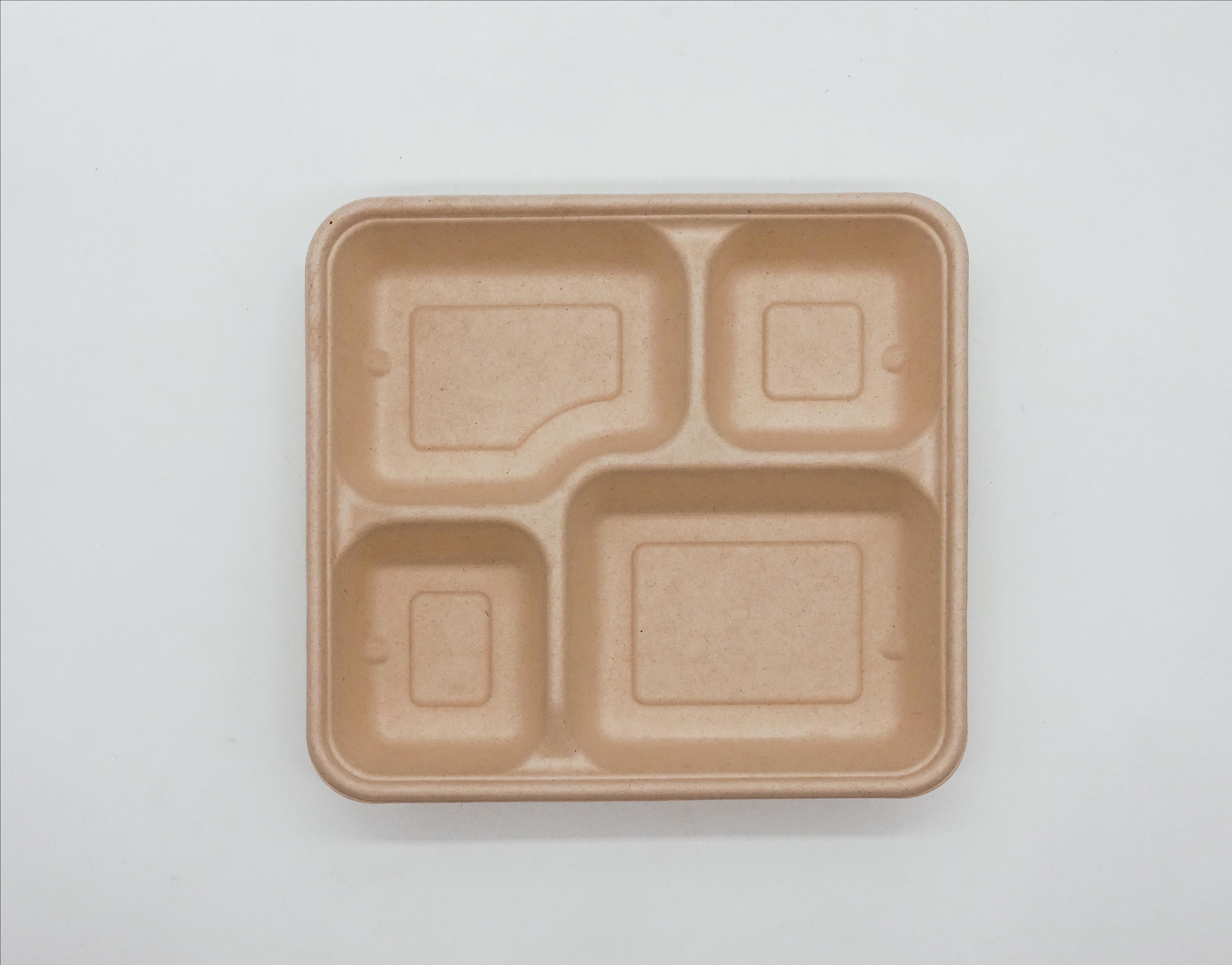 Take Out Food Containers, 100% Biodegradable Disposable Food Containers ...