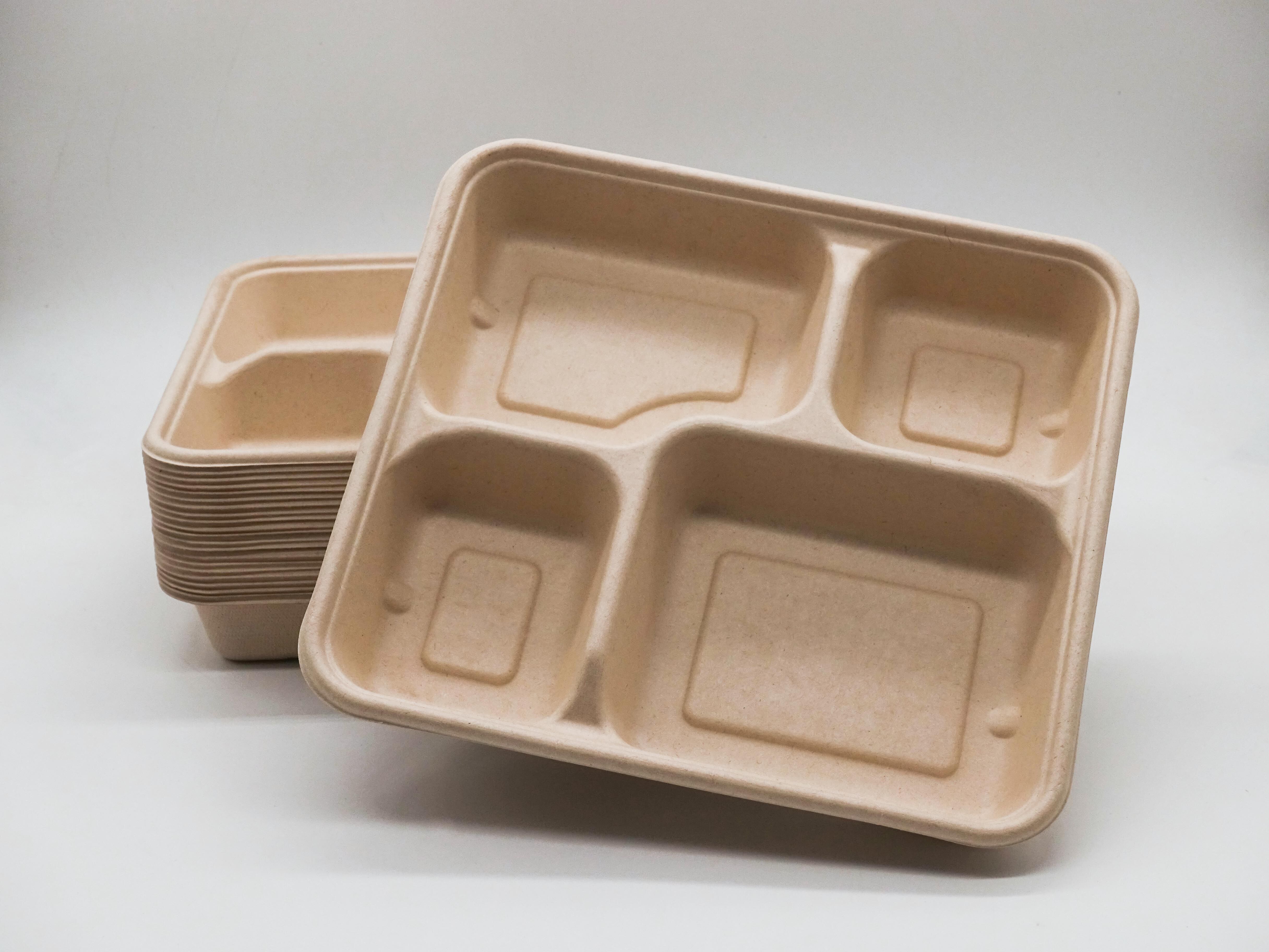 Take Out Food Containers, 100% Biodegradable Disposable Food Containers ...