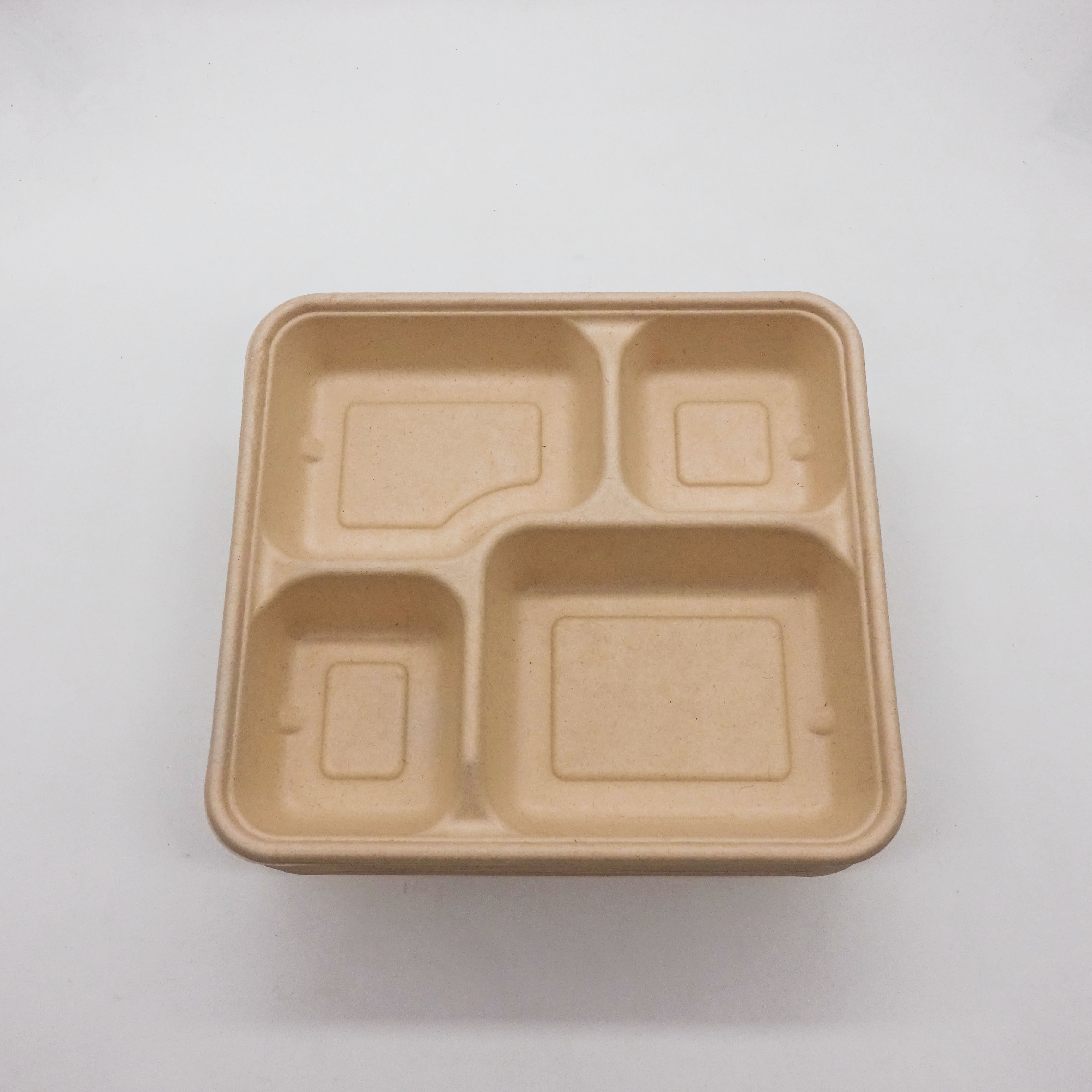 Take Out Food Containers, 100% Biodegradable Disposable Food Containers ...