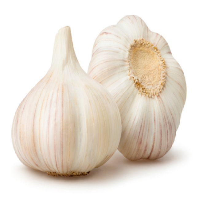 Buy Wholesale Canada Fresh Garlic White Garlic Normal White Garlic ...